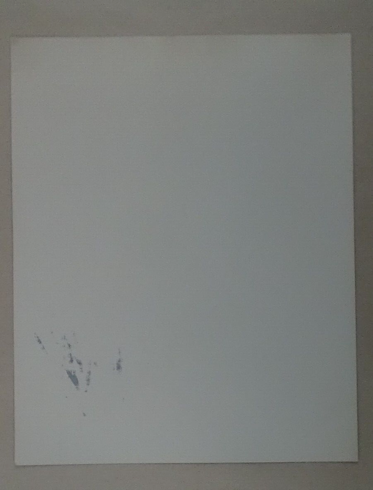 No Doubt Full Band Autograph Signed 8"x10" Promo Card #F-2 | eBay.de