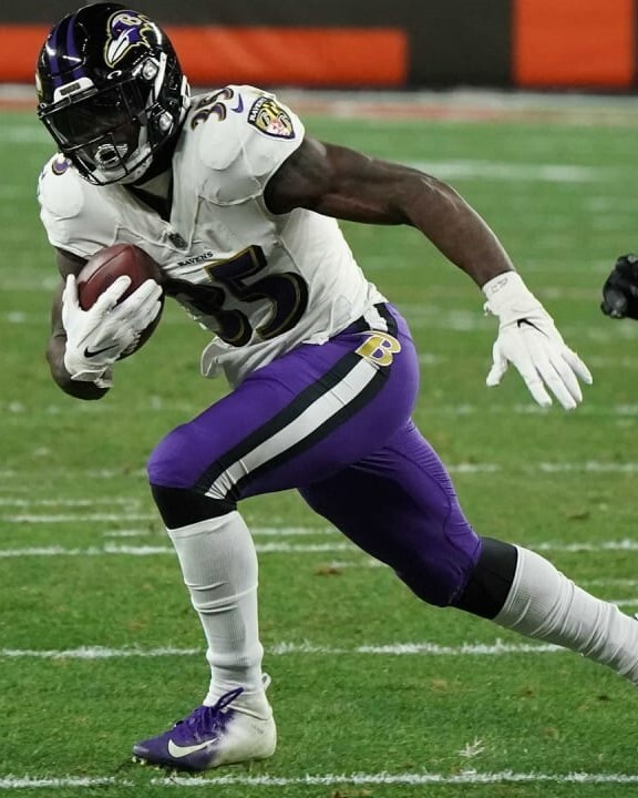 DESEAN JACKSON 8X10 PHOTO BALTIMORE RAVENS PICTURE NFL | eBay