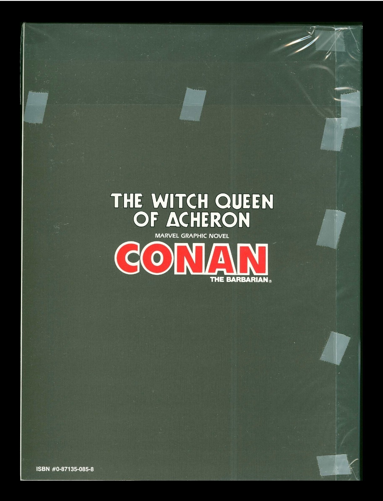 Conan The Barbarian Witch Queen of Acheron Marvel Graphic Novel 19 REH ...