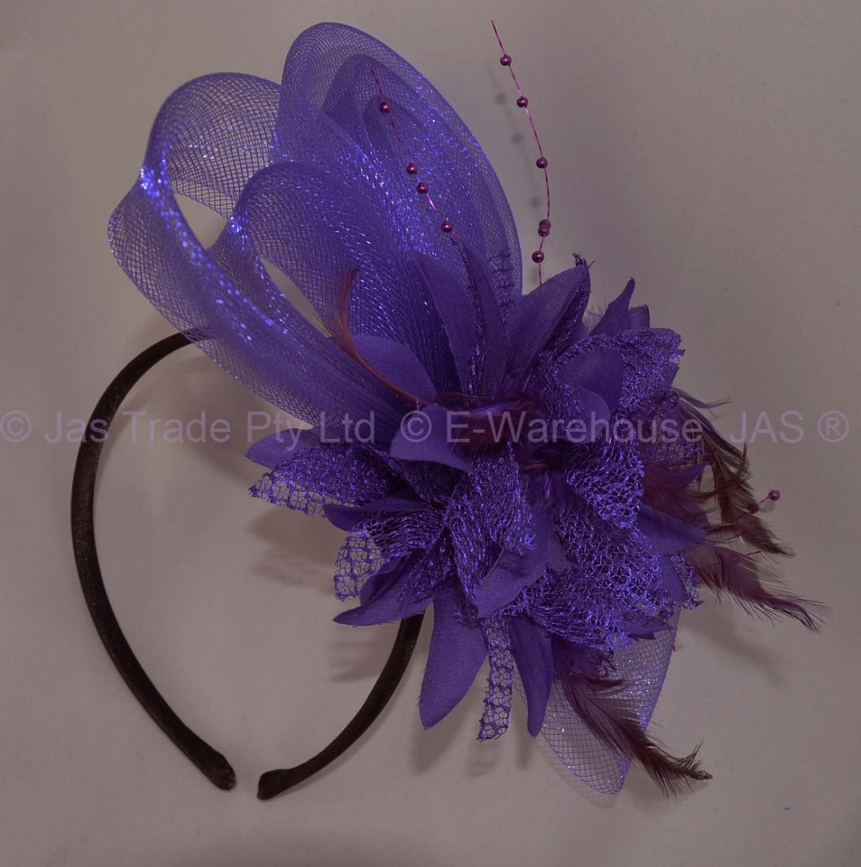 Spring Race Racing Party Melbourne Cup Feather Fascinator Headband Clip ...