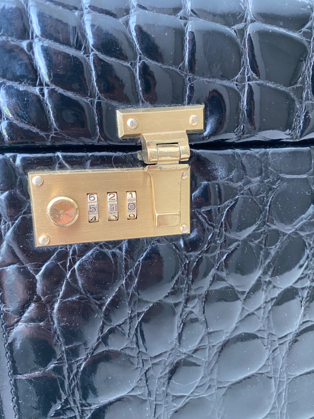 Authentic Alligator Briefcase - Gem