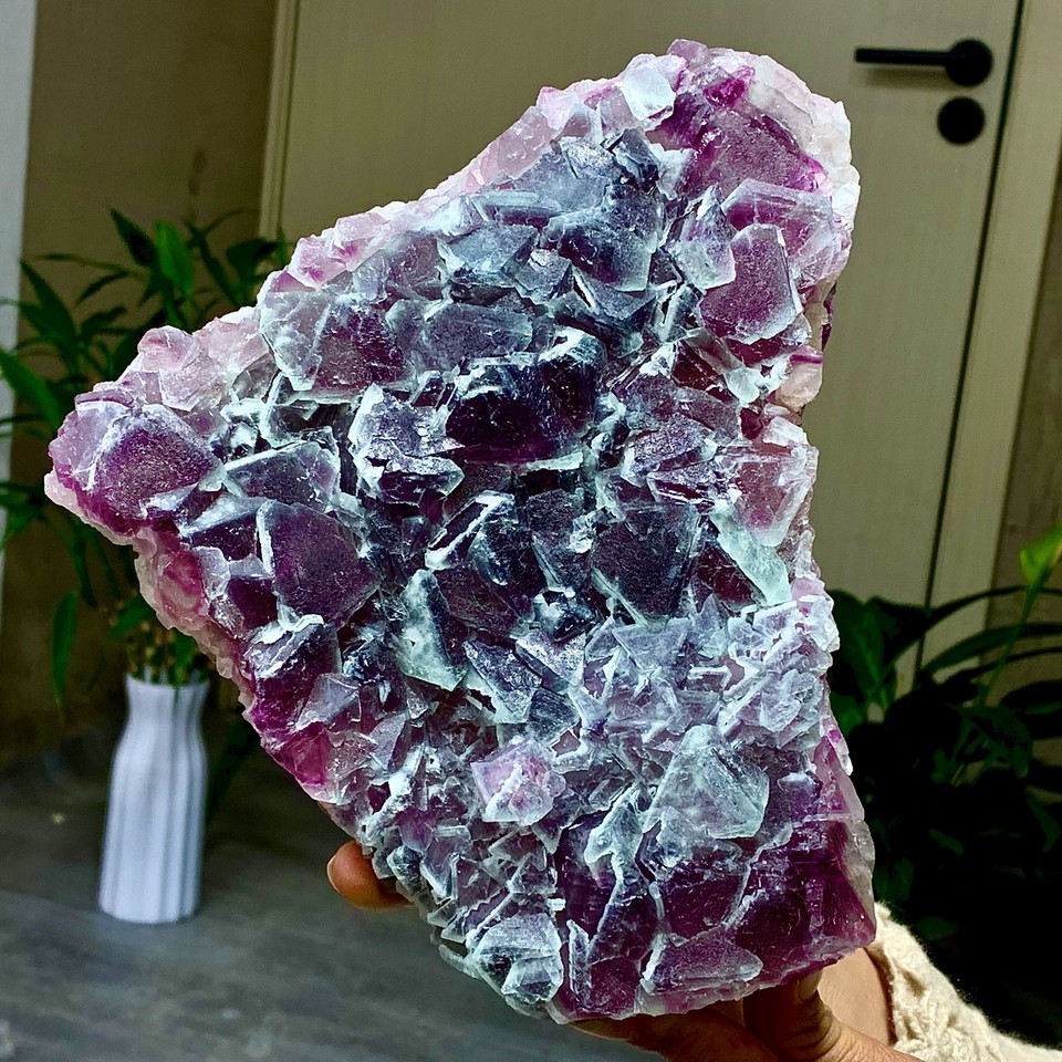 8.17LB Rare transparent purple-green cubic fluorite mineral crystal ...