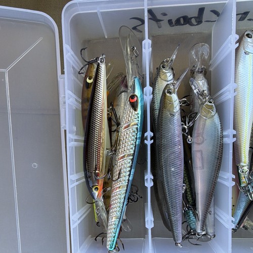 Mixed Lot Hard Plastic Jerkbaits Bass Fishing Lures/Hard ~19ct+ w ...