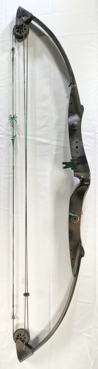Custom Painted Compound Bows