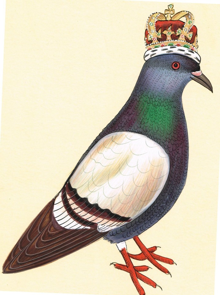 Indian Miniature Painting Of Message Commander Pigeon Bird With Turban ...