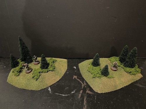 Star Wars Legion: Endor Pathways | eBay