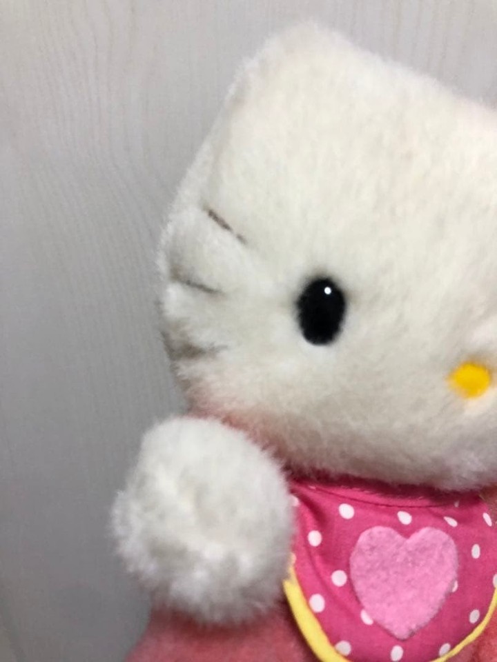 Hello Kitty Baby Plush Toy Rattle 1995 Retro Used with Wear 66g | eBay