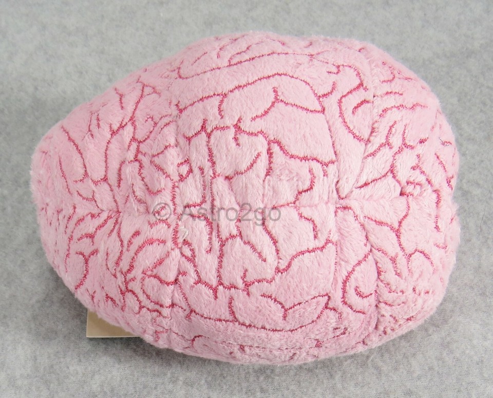 GIANT MICROBES-BRAIN ORGAN-Stuffed Plush Mind Stem Cell Memory Thoughts ...