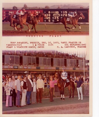 MORNING FLASH TURF PARADISE RACE TRACK - M3640 | eBay