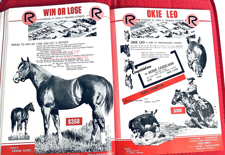 1971 QUARTER HORSE Journa, PETER McCUE 7PG Story - JEWEL'S LEO BARS ...
