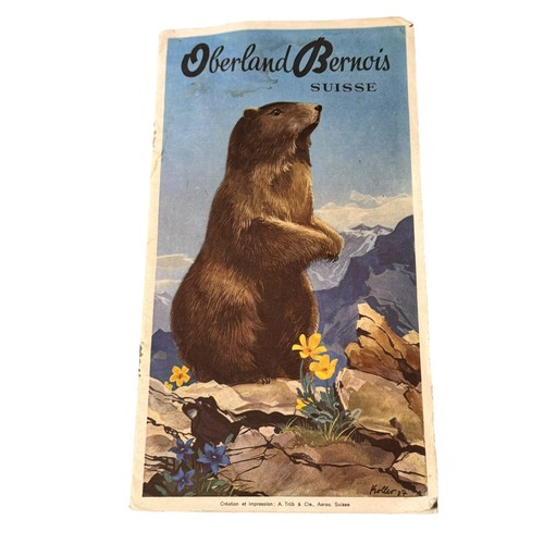 Bernese Oberland Swiss Alps Foldout Map 1930s Switzerland Vintage A ...