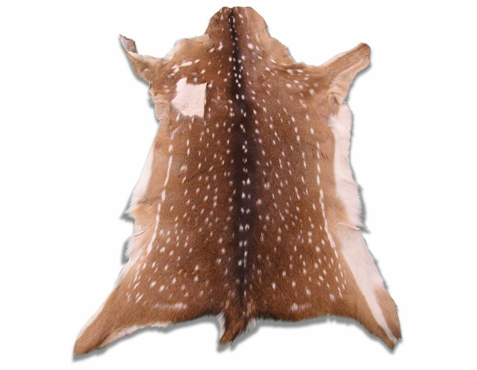 Axis Skin Second Grade Axis Deer Hide Size: 38"X30" Antelope Rug ...