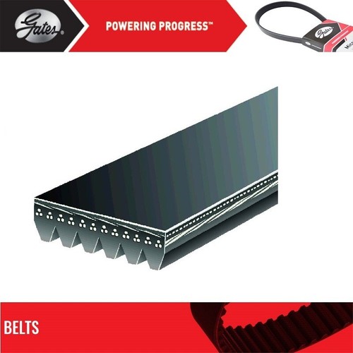 Serpentine Belt Gates For 2015-2017 KIA K900 V8-5.0L | eBay