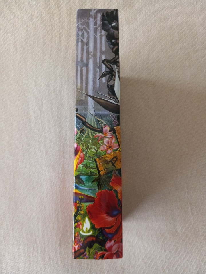 Stephen King - Lisey's Story (2006) Scribner, HC / WDJ Like New, Never ...