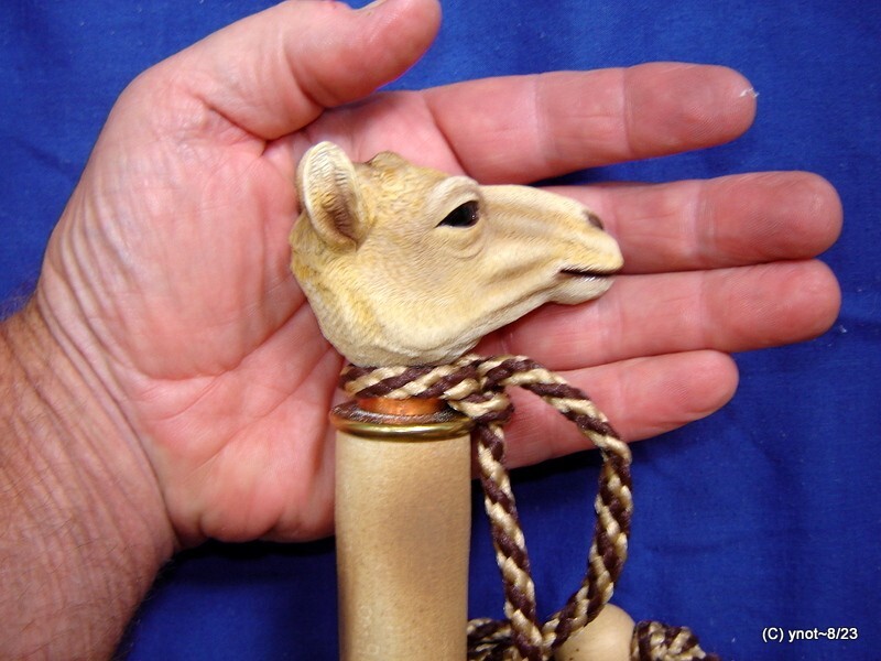 CAMEL CANE walking-stick Shillelagh desert sand-dune … - Gem