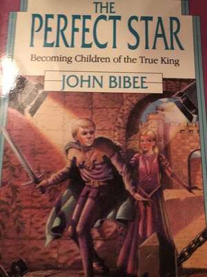 The Perfect Star By John Bibee | eBay