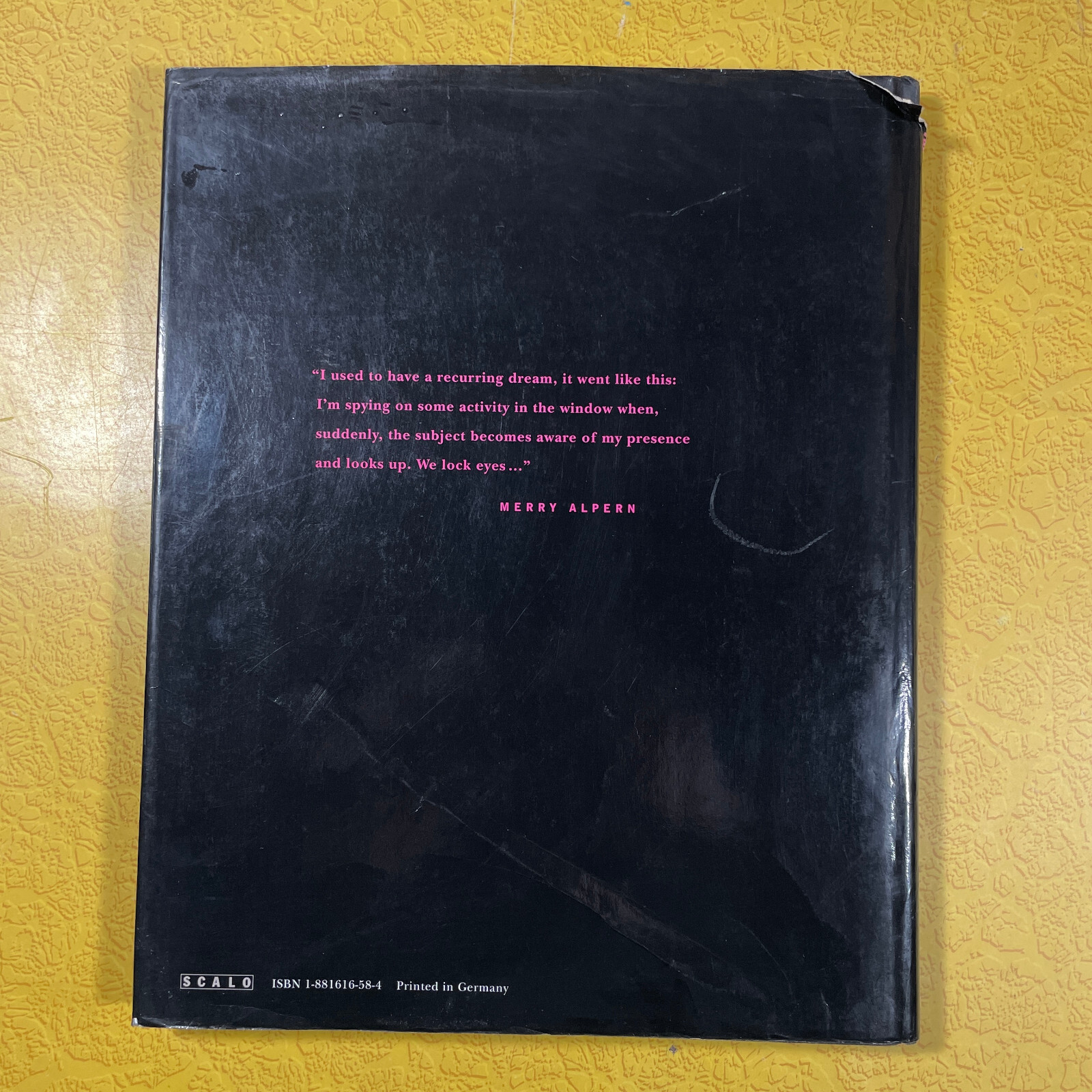 Merry Alpern : Dirty Windows by Merry Alpern (1995, Hardcover) for sale ...