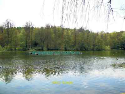 Photo 6x4 Priory Pond, Reigate c2013 | eBay UK