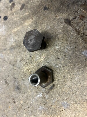 AUSTIN HEALEY ROCKER COVER NUTS | eBay UK