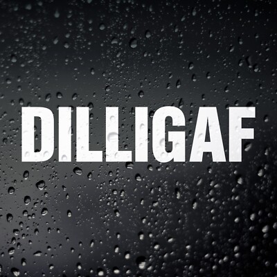 DILLIGAF Funny Car Van Sticker, Rude Vinyl Decal Campervan Bumper ...