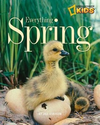 Jill Esbaum Everything Spring (Paperback) Everything (US IMPORT ...