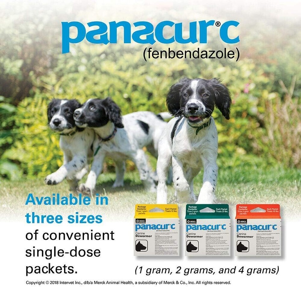 Panacur C Canine Dewormer (Fenbendazole), 1 Gram, Yellow, 3 Count (Pack ...