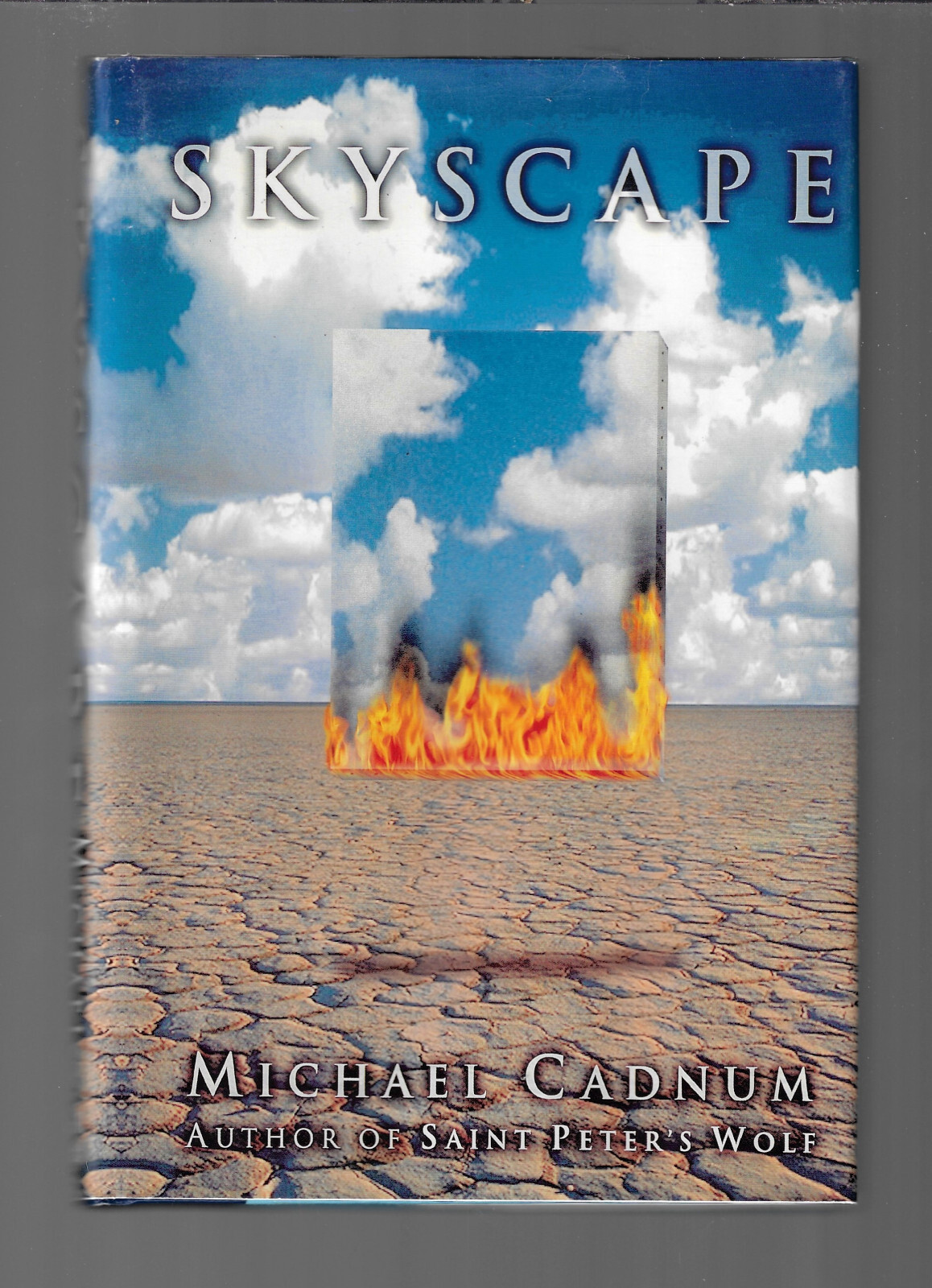 Skyscape by Michael Cadnum (1994, Hardcover 1st Printing) Unread 9780786701353| eBay