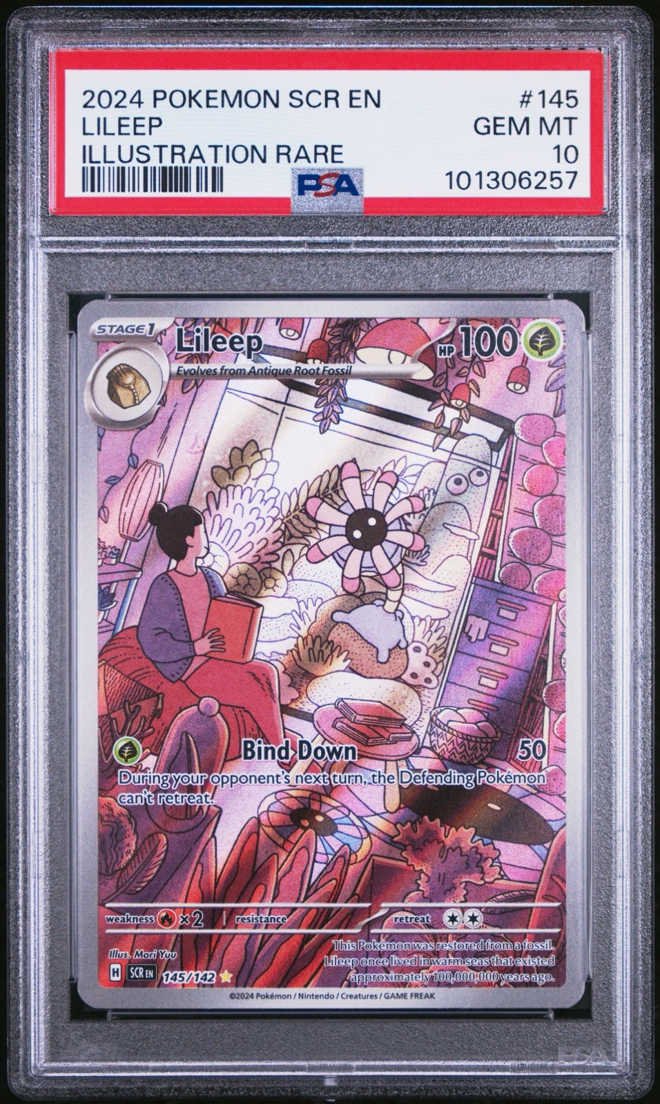 Lileep 2024 Scarlet & Violet: Stellar Crown #145/142 Illustration Rare ...