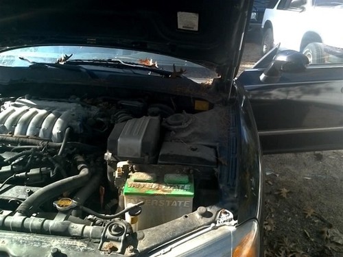 Driver Left Strut Front Fits 01-05 XG SERIES 148542 | eBay