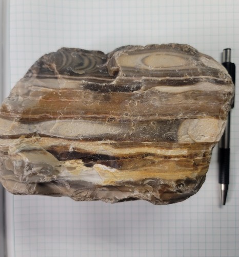4lb - Texas Tortilla Chert Georgetown Flint Banded Opalized Agate ...