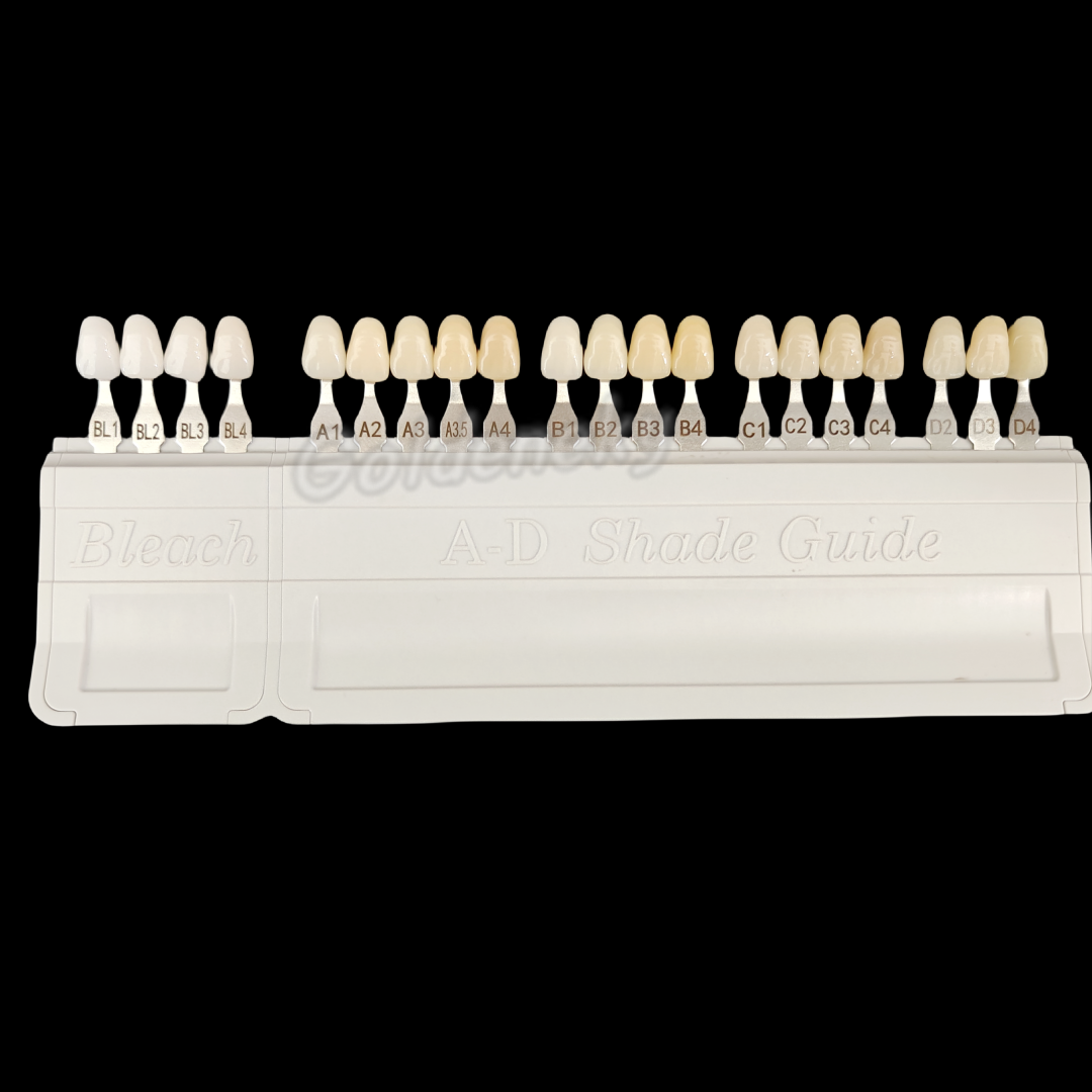 20Colors Dental Bleach Teeth Shade Guide Natural Die Material A1-D4 B1 ...