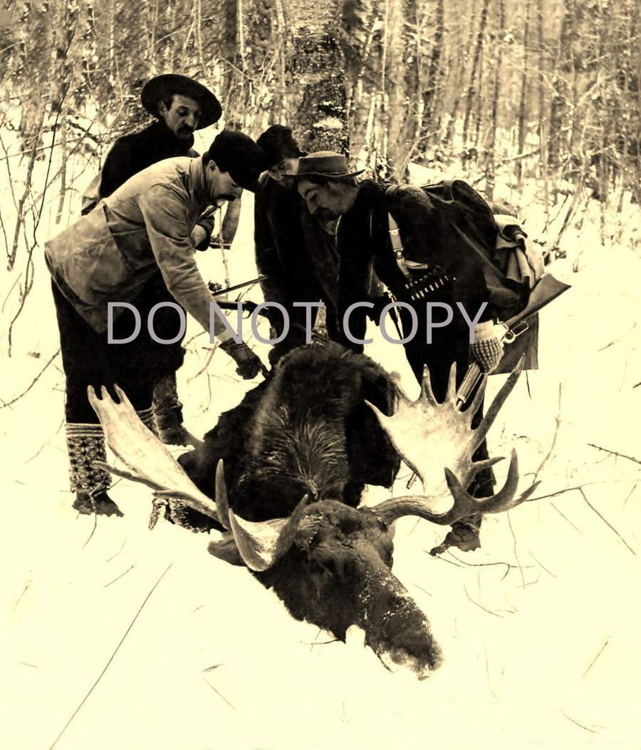ANTIQUE PRE 1900 8X10 REPRODUCTION PHOTOGRAPH PRINT MOOSE HUNTING ...