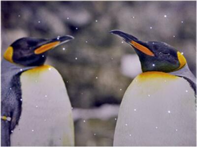 40 X 30CM Neige Pingouin Scène Paire, Produit Gamme LED Canv Pour ...