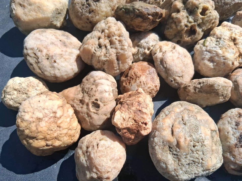 Unopened Geodes/Agates/Nodules Natural Semi Solid - Solid Lapidary Bulk ...
