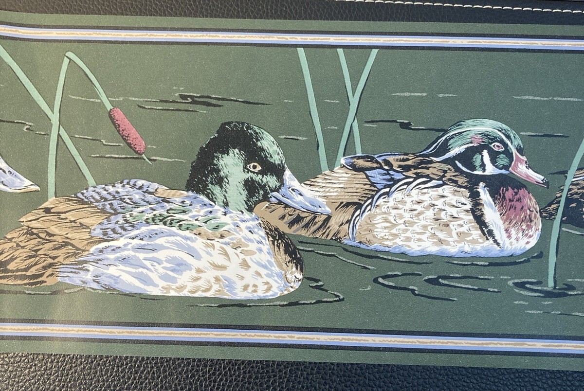 Mallard Ducks Wallpaper Border Poster, Print A Female Mallard Duck