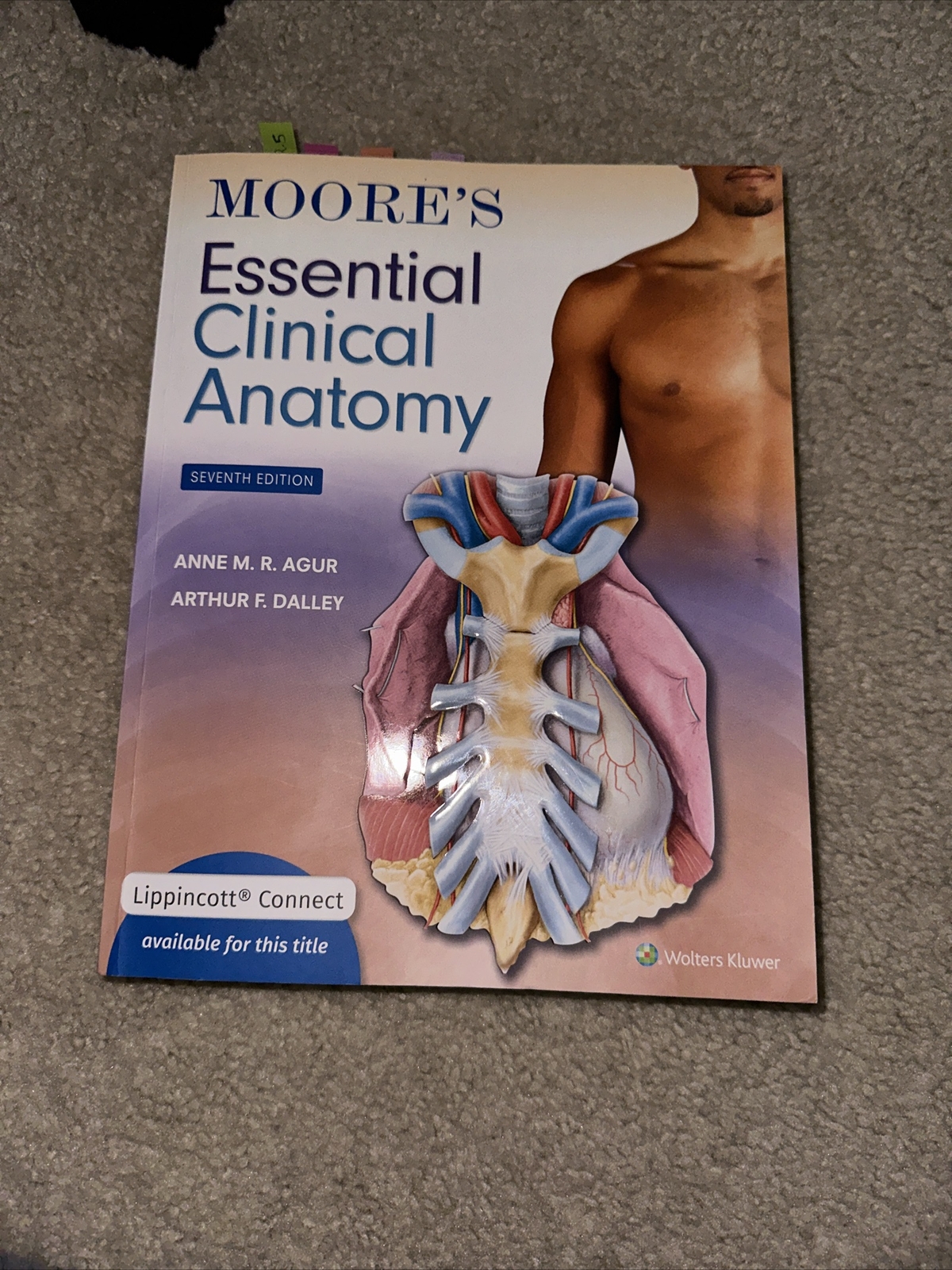 Moore's Essential Clinical Anatomy by Arthur F. Dalley II and Anne M. R ...