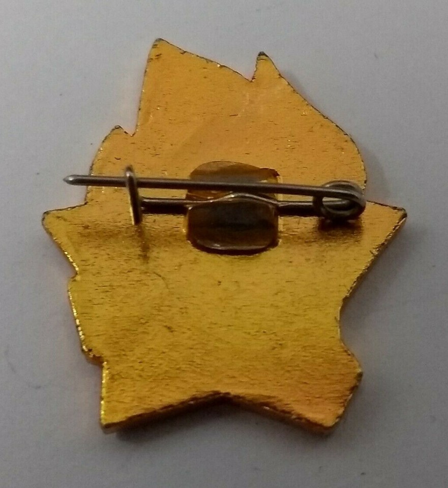 USSR CCCP Soviet Russian Communist Pioneer Lenin Pin Badge - NEW LENB ...