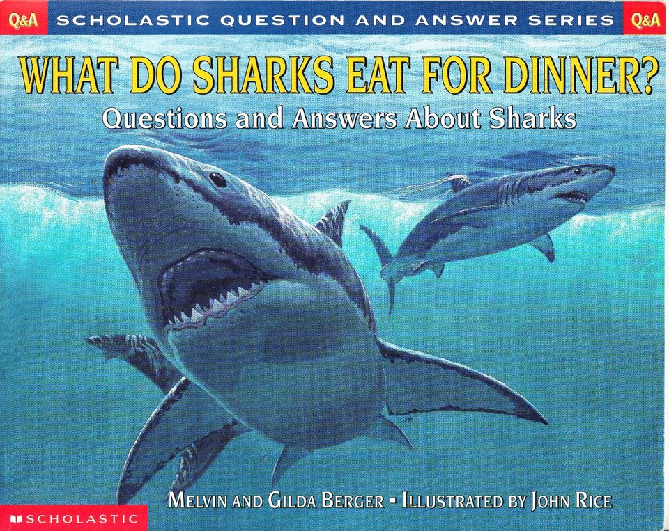 Children's Shark 3 Book Lot I Survived Non-Fiction Sharks | eBay