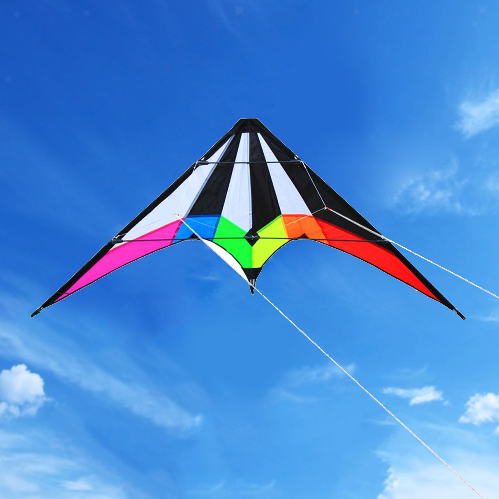 Stunt Kite Dual Line Professional Flying Kites Outdoor Game for Adults ...