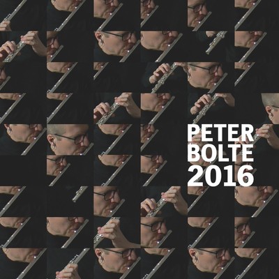 Peter Bolte 2016 (CD) (UK IMPORT) 4260036750102| eBay