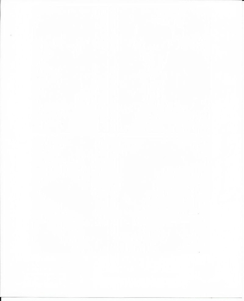 CREATURES THE WORLD FORGOT - 8 x 10 - JULIE EGE - HAMMER HORROR | eBay