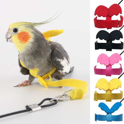 Parrot Bird Harness Leash Training Rope Flying Traction Straps Band ...