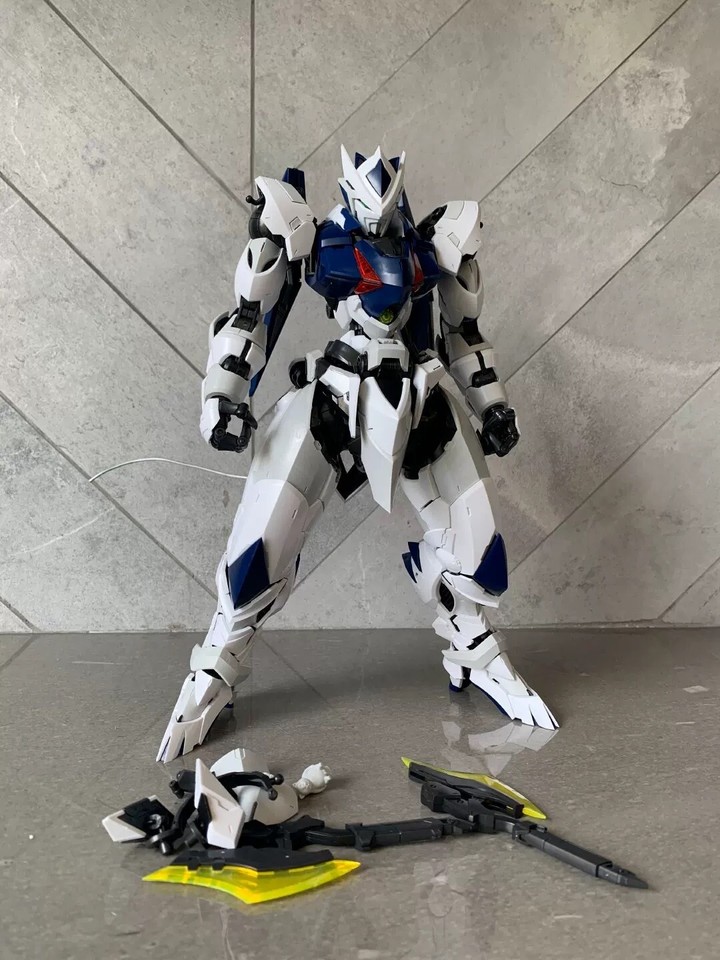 Strange Work PG 1/60 Frosty Cat - Model Kit | eBay