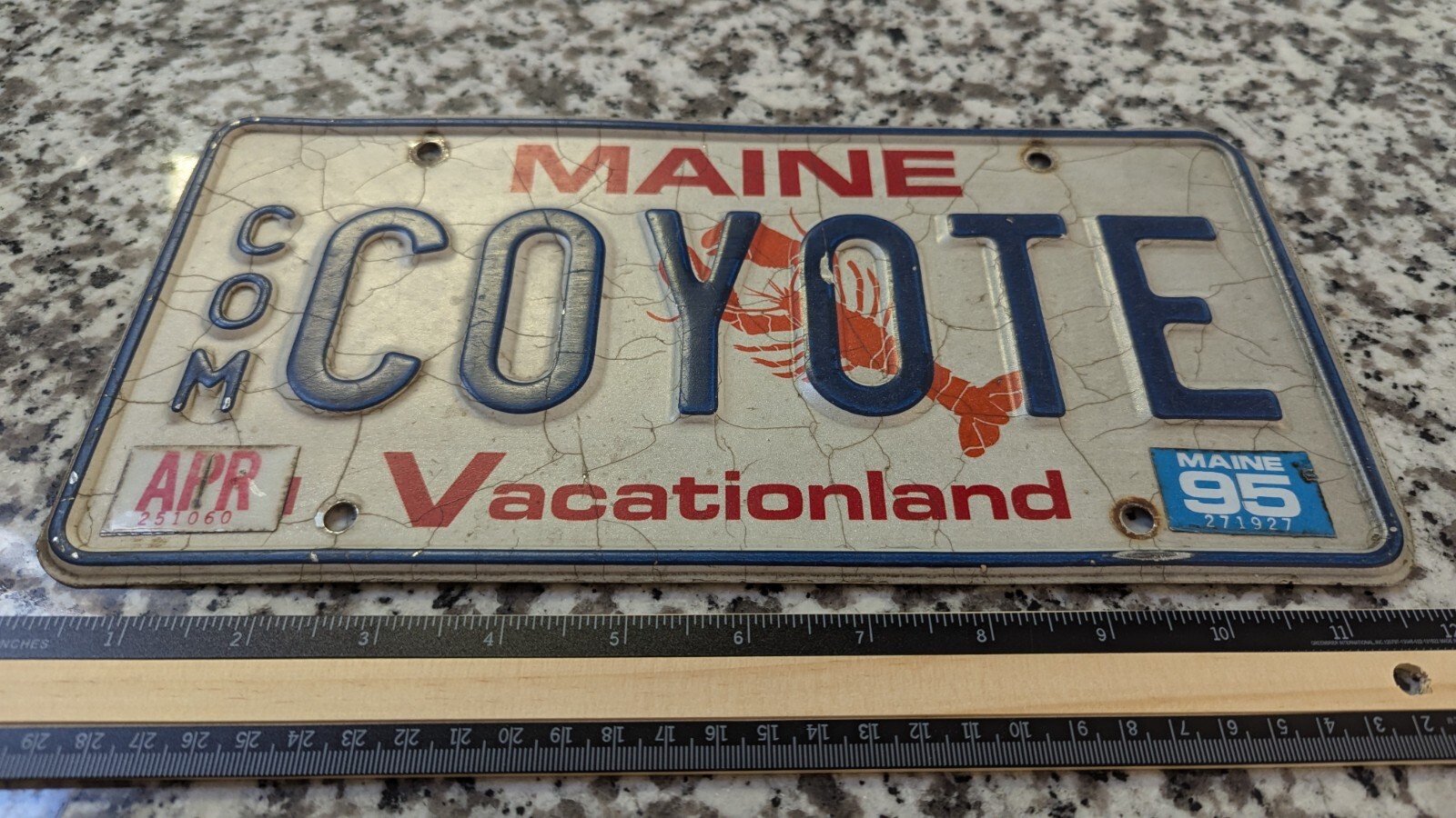 VINTAGE COYOTE COMMERCIAL MAINE LOBSTER LICENSE PLATE | eBay