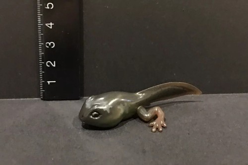 RARE Yujin Japan Exclusive Japanese Brown Frog Tadpole Animal Figure B ...