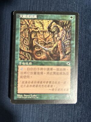 Magic The Gathering - Skyshroud Ranger | eBay