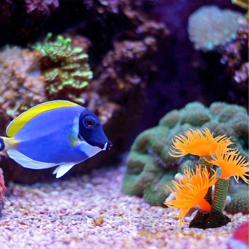 Simulation Aquarium Decorations Fish Tank Coral Ornaments | eBay Australia