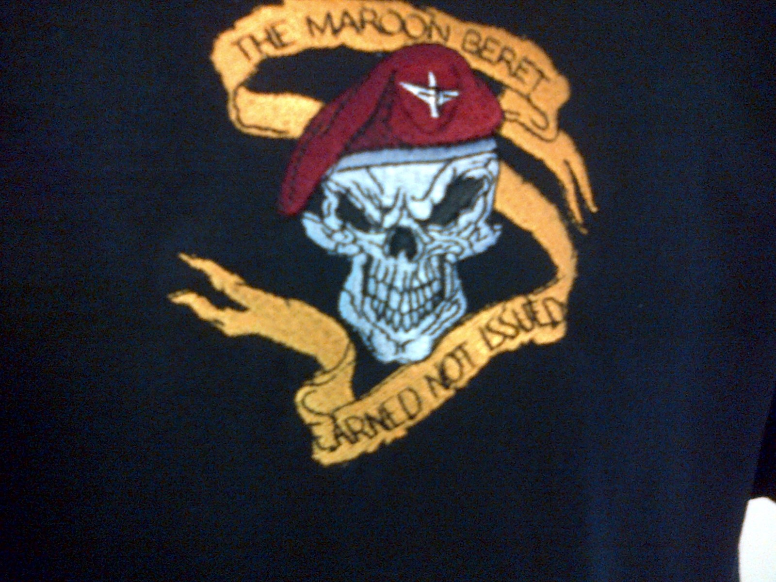 PARACHUTE REGIMENT EARNED NOT ISSUED HOODIE | eBay