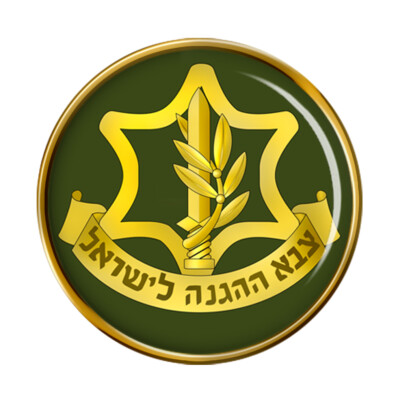 Israeli Defence Forces Pin Badge | eBay UK