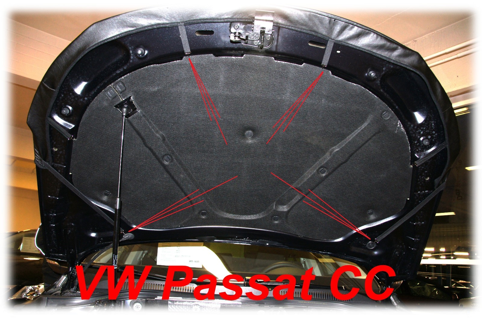 CARBON LOOK CAR HOOD BRA fits Volkswagen Passat CC 2008-2012 NOSE FRONT ...